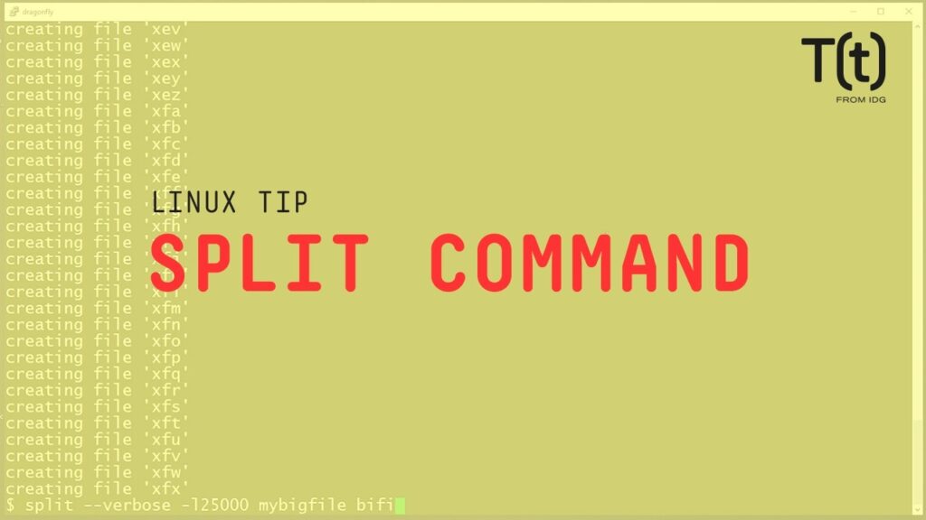 Colors In Ls Command Output What Do They Mean Linux Punx