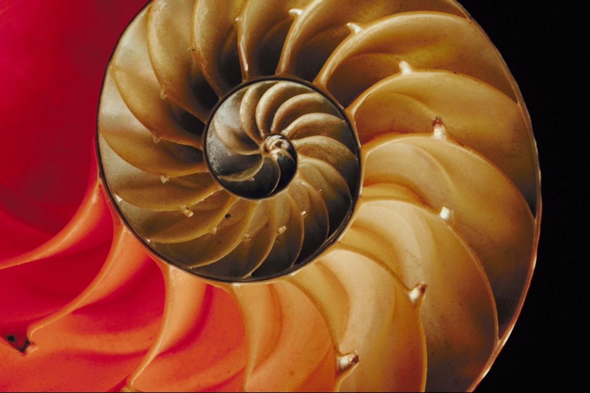 Bash 5.1 brings back older behavior - Linux Punx